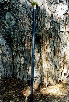 Black Powder Cane Gun No Ffl Needed For Sale at GunAuction.com - 9119666