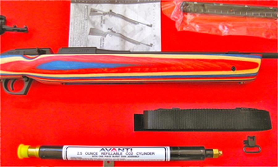 Daisy Avanti 888 Medalist . New .. $299 For Sale at GunAuction.com ...