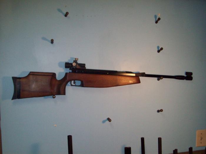 Daisy 128 Olympic Air Rifle,Walther Barrel,Diopter For Sale at ...
