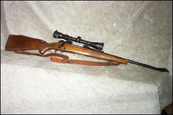 Winchester Ted Williams () Model 53 For Sale at GunAuction.com - 6047119