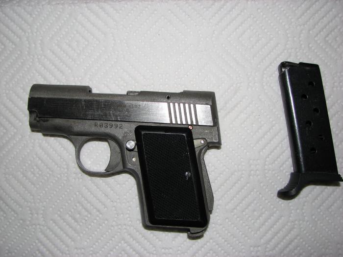 AMT AMT .380 Backup II