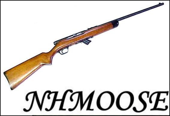 Savage Arms Company Stevens Model 85 .22lr Semi-Auto Rifle For Sale at ...