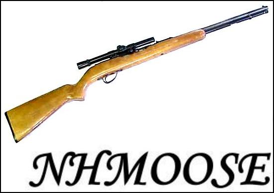 Savage Arms Springfield Model 187A .22lr Semi-Auto Rifle