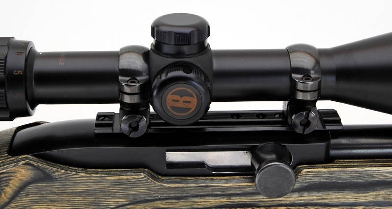 Ruger - 10/22 Custom Rifle Caliber 17hm2 & 4x12 Scope With Thumbhole ...