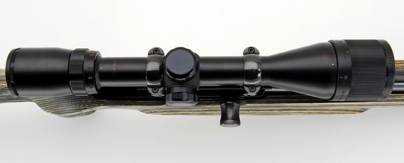 Ruger - 10/22 Custom Rifle Caliber 17hm2 & 4x12 Scope With Thumbhole ...