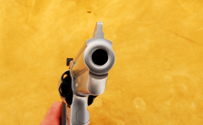 Taurus Model 66 7 Shot Caliber 357 Magnum Stainless Steel Revolver For ...