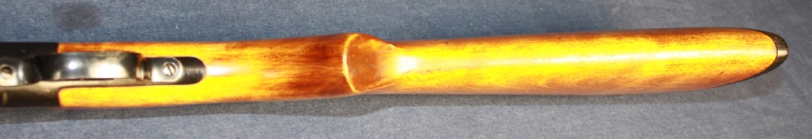 Revelation Model 350a 12 Gauge Single Shot For Sale at GunAuction.com ...