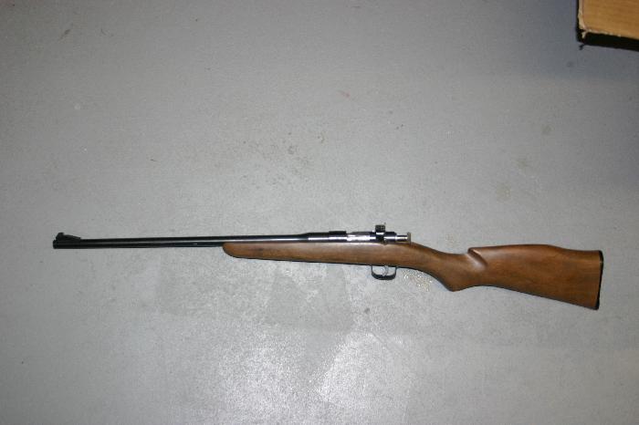 Rogue Rifle Company Chipmunk 22lr Youth Rifle Great Gun For Sale at ...