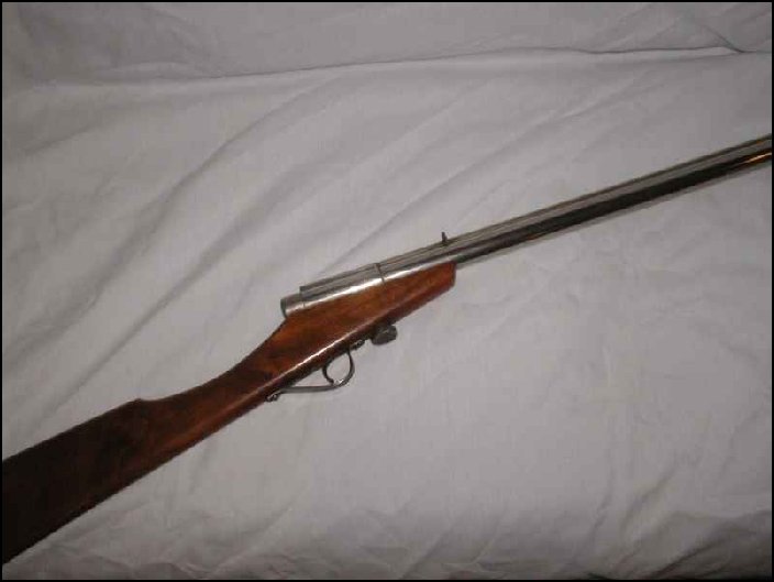 Benjamin Model G Pump Bb Rifle For Sale at GunAuction.com - 6424349
