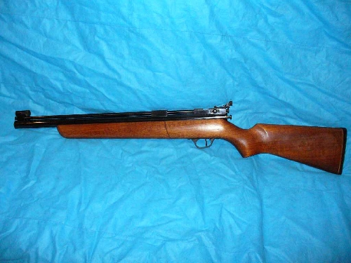 Sharp Victory 700 .22 Pump Rifle - For Sale at GunAuction.com - 7757604
