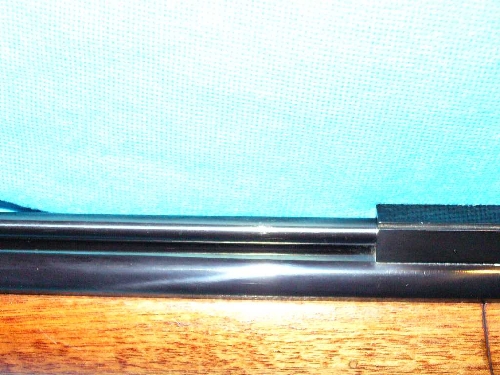 Sharp Victory 700 .22 Pump Rifle - For Sale at GunAuction.com - 7757604