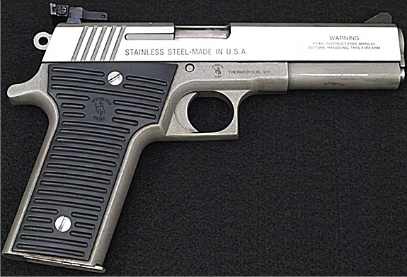 Wyoming Arms 10mm Semi-Auto Pistol, All Stainless Steel For Sale at ...