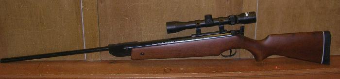 Rws Model Diana Mod 45 20th Anniversary Cal .177 For Sale at GunAuction ...