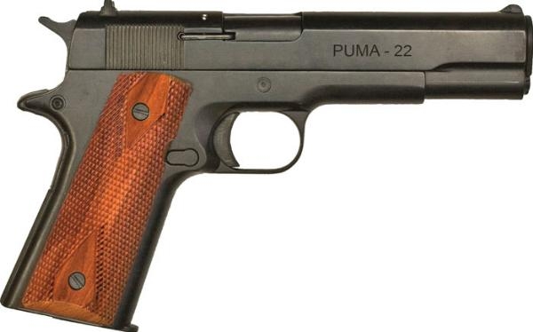 Chiappa Puma 1911 .22lr Pistol Nib For Sale at GunAuction.com - 10735086