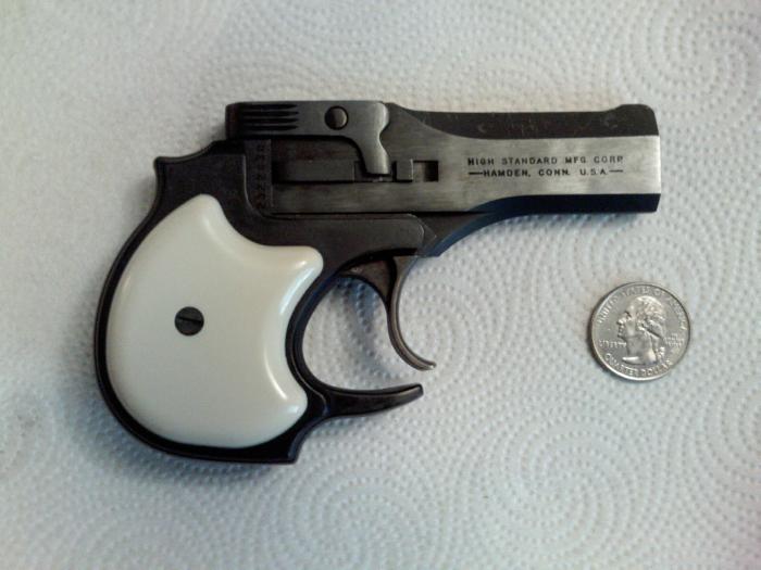 High Standard Manufacturing Corporation High Standard Model D-101 .22 ...