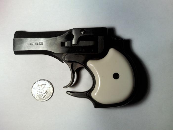 High Standard Manufacturing Corporation High Standard Model D-101 .22 ...