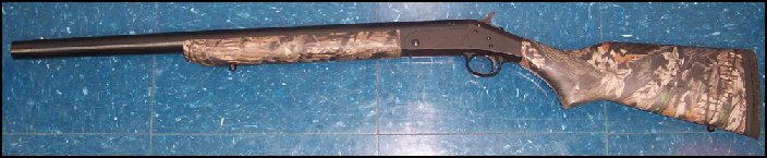 Nef Sb2 10 Ga. Camo Shotgun For Sale at GunAuction.com - 7191083