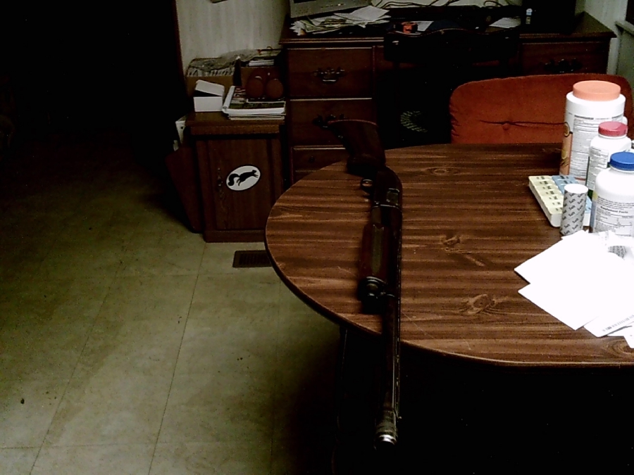 Sears, Roebuck & Co. 12 Gauge Pmp Action Mod.20 Good Shooter Adj. Choke ...