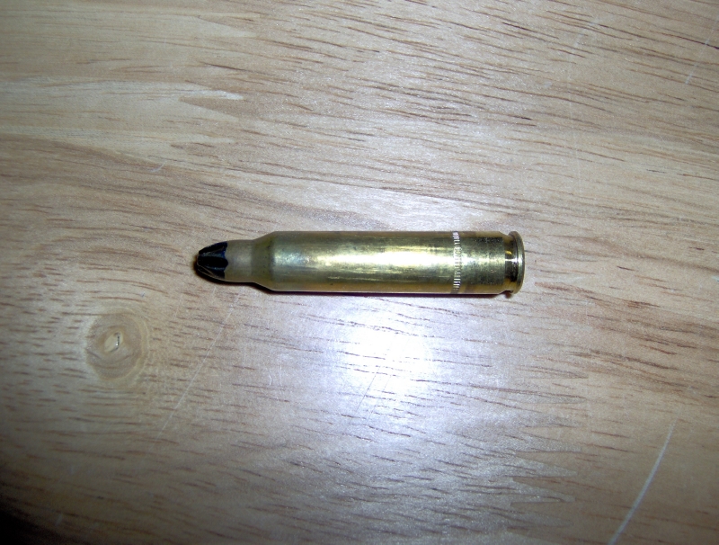 20 Rounds Lc 223/556nato Blank Ammo For Sale at GunAuction.com - 10819822
