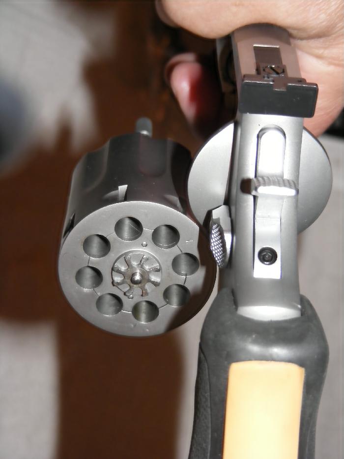 Taurus International Mfg. Co. Raging Hornet - Model 22h For Sale at ...