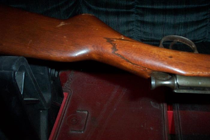 Iver Johnson Arms, Inc. Iver Johnson Model X 22 Rifle For Sale at ...