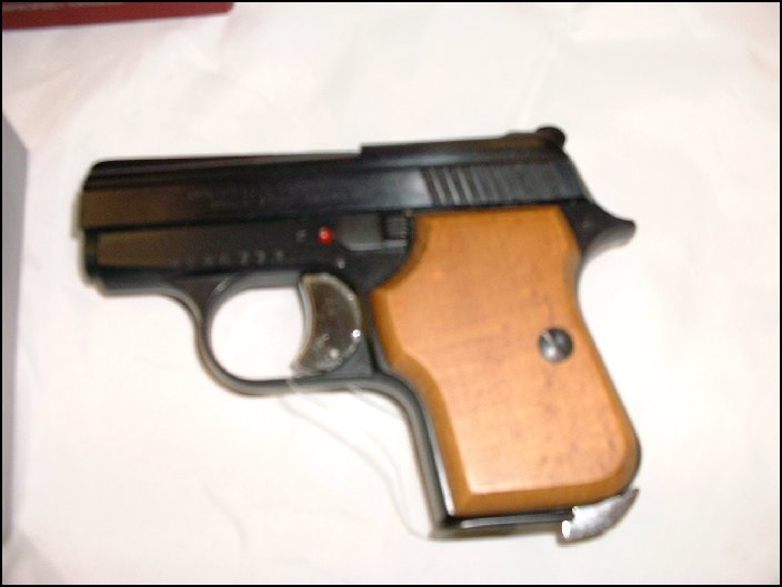 Targa Model Gt27 Tanfoglio 25 Acp For Sale at GunAuction.com - 7622770