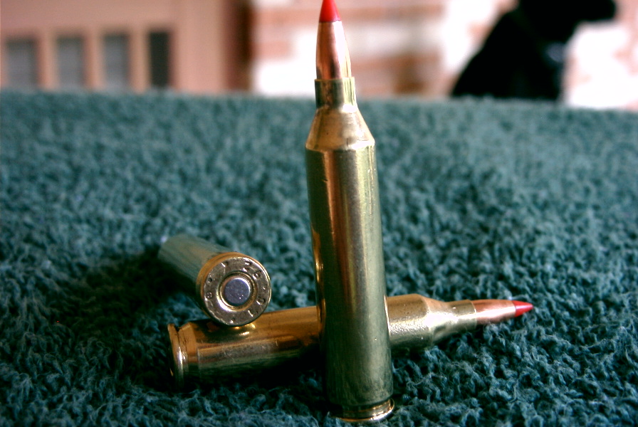 .17-223 Rem. Wildcat Collector Cartridge For Sale at GunAuction.com ...