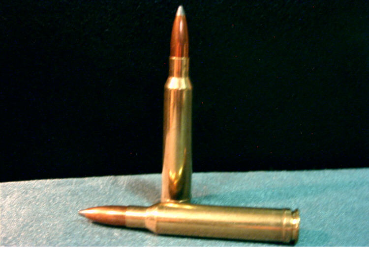 .303 Epps Belted Magnum, Collector Ctg. For Sale at GunAuction.com ...