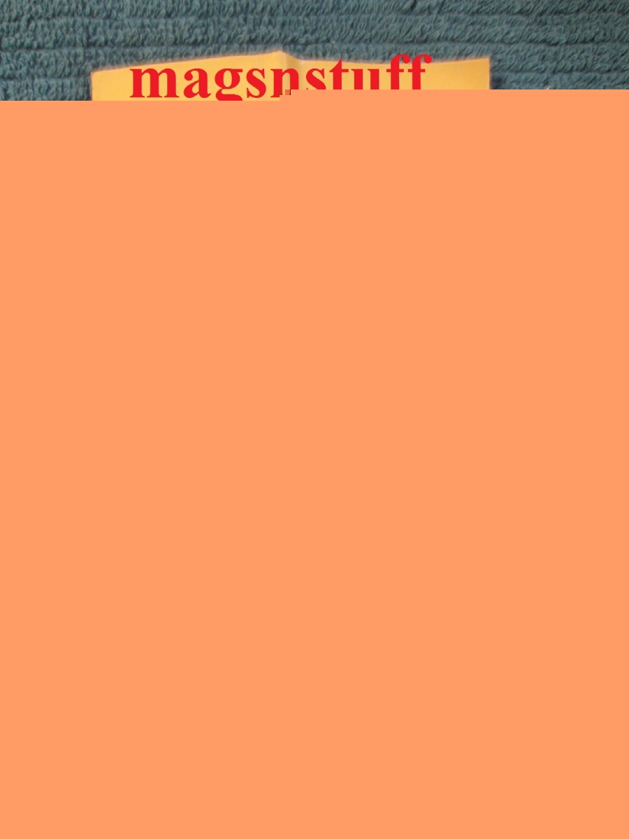 Star Firestar Plus 9mm 13 Round Factory Magazine 9mm Luger For Sale at ...