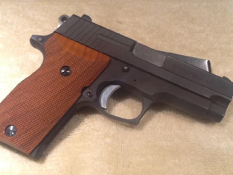 Springfield Armory (Springfield, Mass) Firecat 9mm For Sale at ...