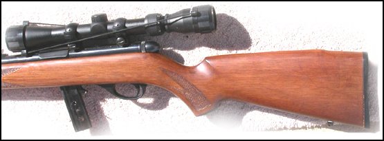 Armscor .22lr Semi-Auto Model 20p With Scope For Sale at GunAuction.com ...