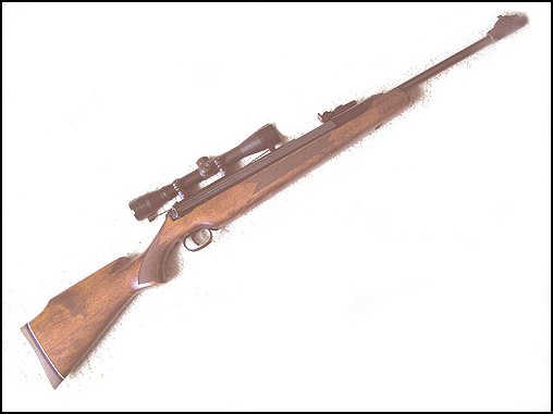 Rws Diana Model 52 .177cal Mint - Like New For Sale at GunAuction.com ...