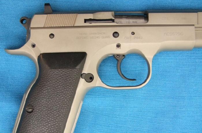 Eaa Witness 10mm Tanfoglio Cz-75 Clone In "Wonder Finish" (3) Mags No ...