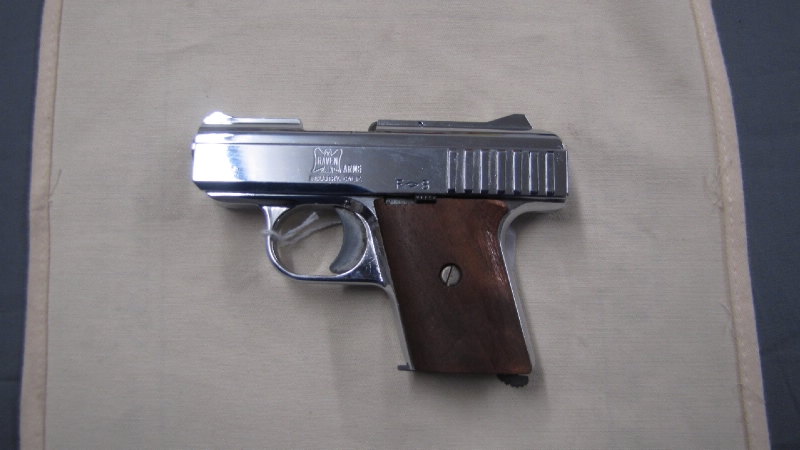 Raven Arms P25, Bayard 1908, Phoenix Raven, Mp25 For Sale at GunAuction ...