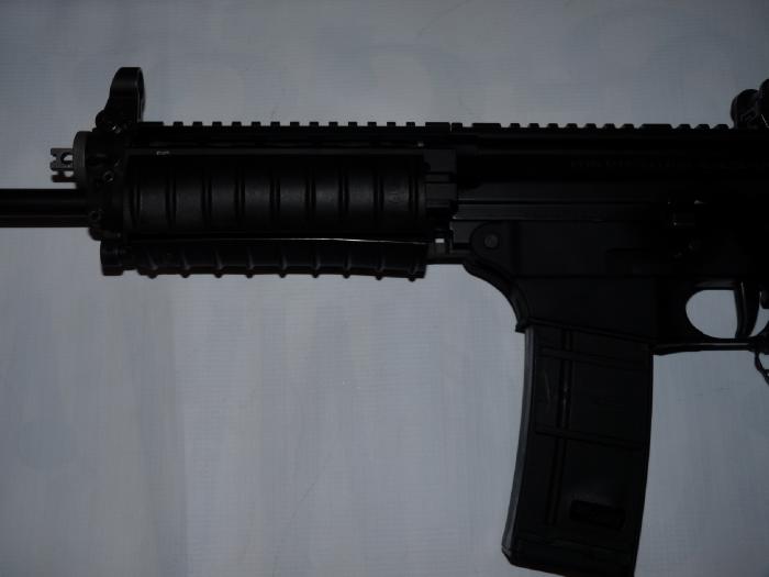 Sig Sauer 556 Patrol Swat Rifle Quad Rail For Sale at GunAuction.com ...