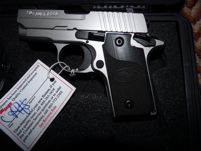 Sig Sauer Sig P238 Hd Sst Frame&Slide G10 Grips Free Gear For Sale at ...