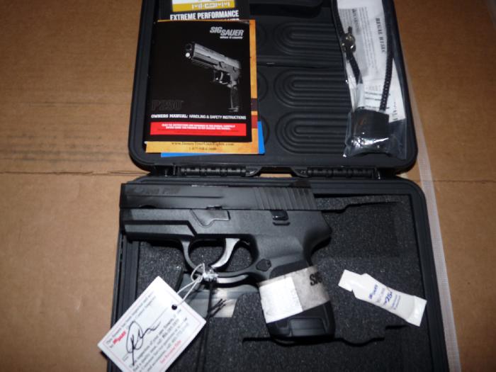 Sig Sauer P250 Sub Compact 40s&W For Sale at GunAuction.com - 10737859