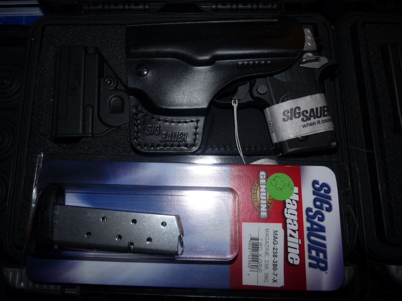 Sig Sauer Sig P238 Hd Sst Frame&Slide G10 Grips Nib For Sale at ...