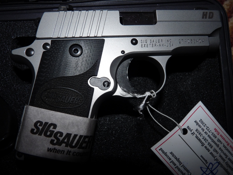 Sig Sauer Sig P238 Hd Sst Frame&Slide G10 Grips Nite Site For Sale at ...