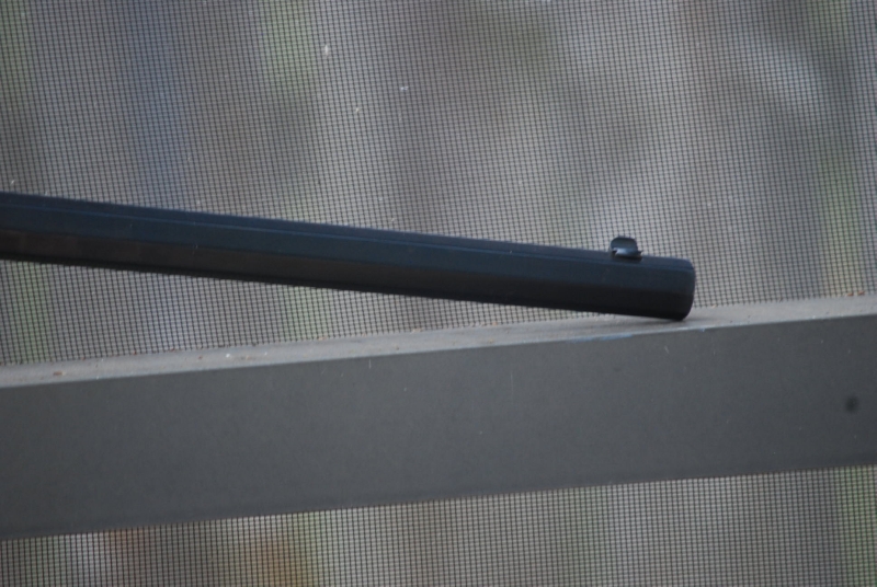 Wurfflein, Andrew & William Wurfflein Single Shot Rifle 32 Cal Antique ...