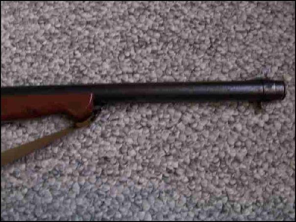 Daisy 141 Defender Bb Gun For Sale at GunAuction.com - 7700367