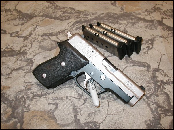 Sig Sauer P245 - Two Tone - 3 Mags - No Longer Made For Sale at ...