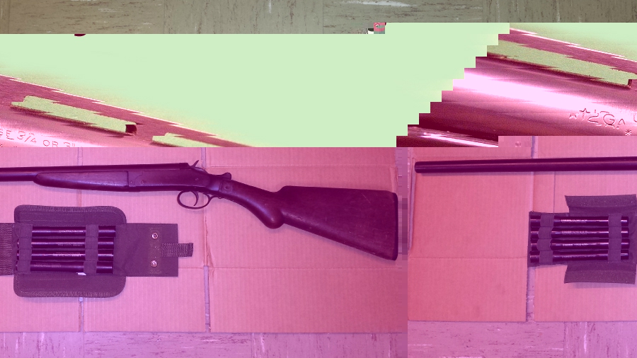 Chiappa X-Caliber Gauge Adapter And Shotgun For Sale at GunAuction.com ...