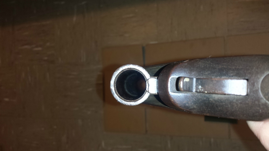 Chiappa X-Caliber Gauge Adapter And Shotgun For Sale at GunAuction.com ...