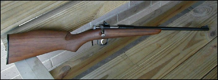 Rogue Rifle Company Chipmunk .17hmr Standard With Scope Mount For Sale ...