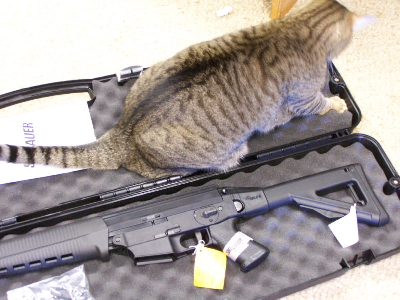 Sig Sauer, Model 522 22 Lr, Assault Rifle, Semi Auto, Nib, No Reserve ...