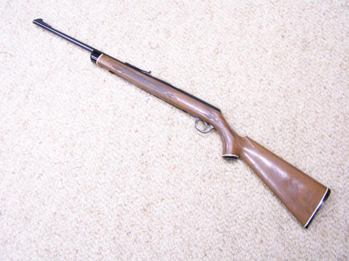 Daisy Heddon Vl 22 Cal, Caseless Ammunition, Single Shot For Sale at ...