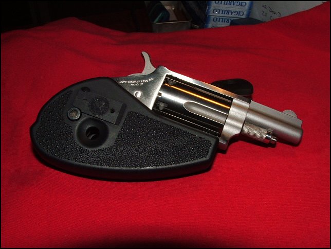 North American Arms Corp. Naa Mini Mag Revolver With Folding Grip ...