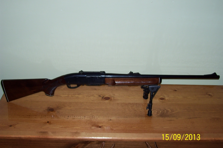 Remington 270 Auto .7400 For Sale at GunAuction.com - 11932084