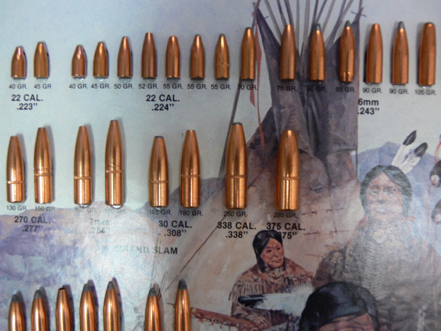 Speer Bullet Display For Sale at GunAuction.com - 12089918